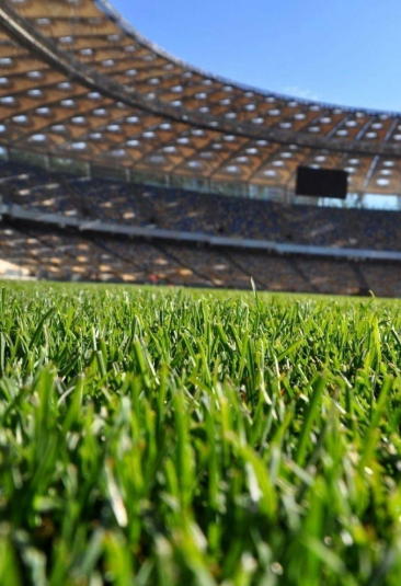 Netforce International | Homepage