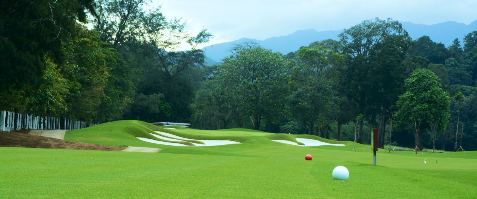 Netforce International | Homepage