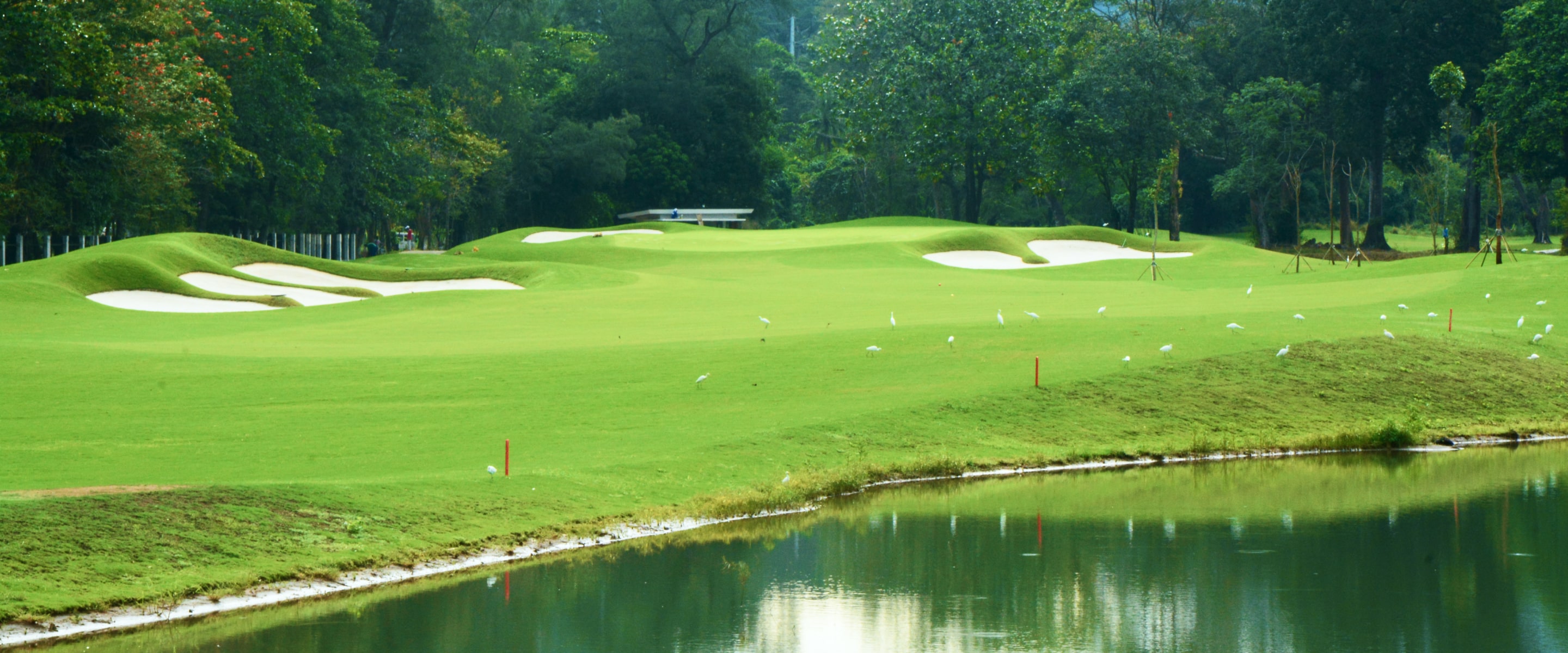 Netforce International | Homepage