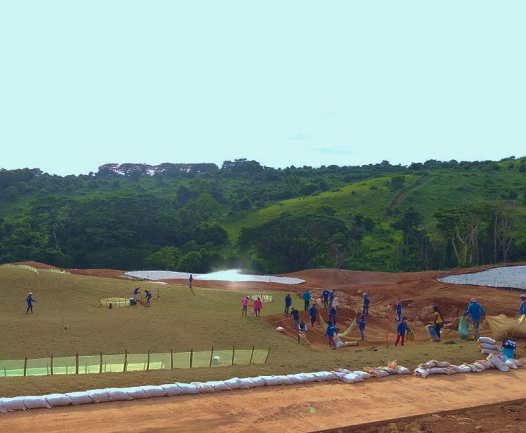 Netforce International | About Us