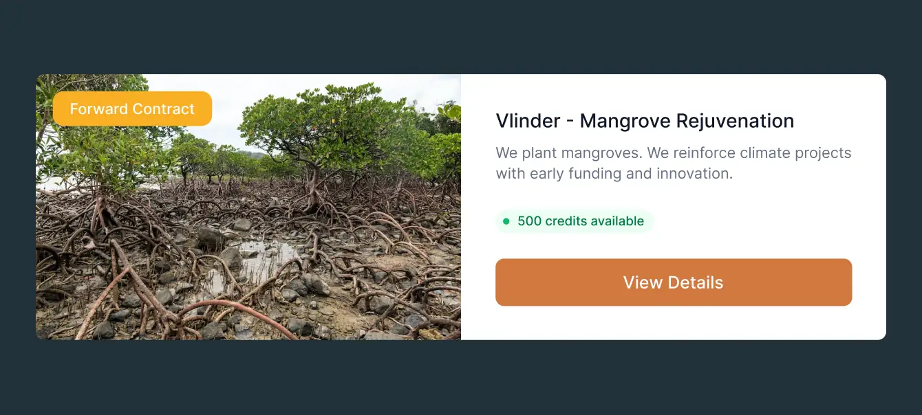 Senken | Leading Digital Carbon Market Enhanced by Defijn's Design Solutions