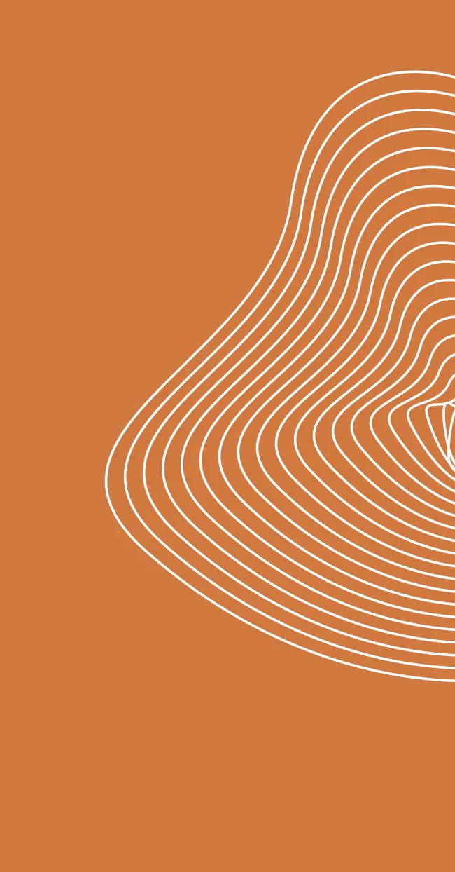 Senken | Leading Digital Carbon Market Enhanced by Defijn's Design Solutions