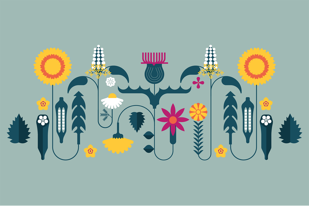 Logo design | Branding | Studio Stoked