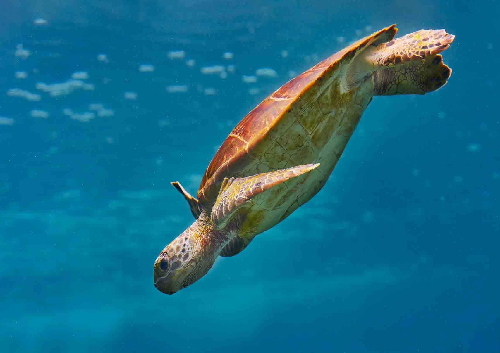 About | Arkabrik 아카브릭