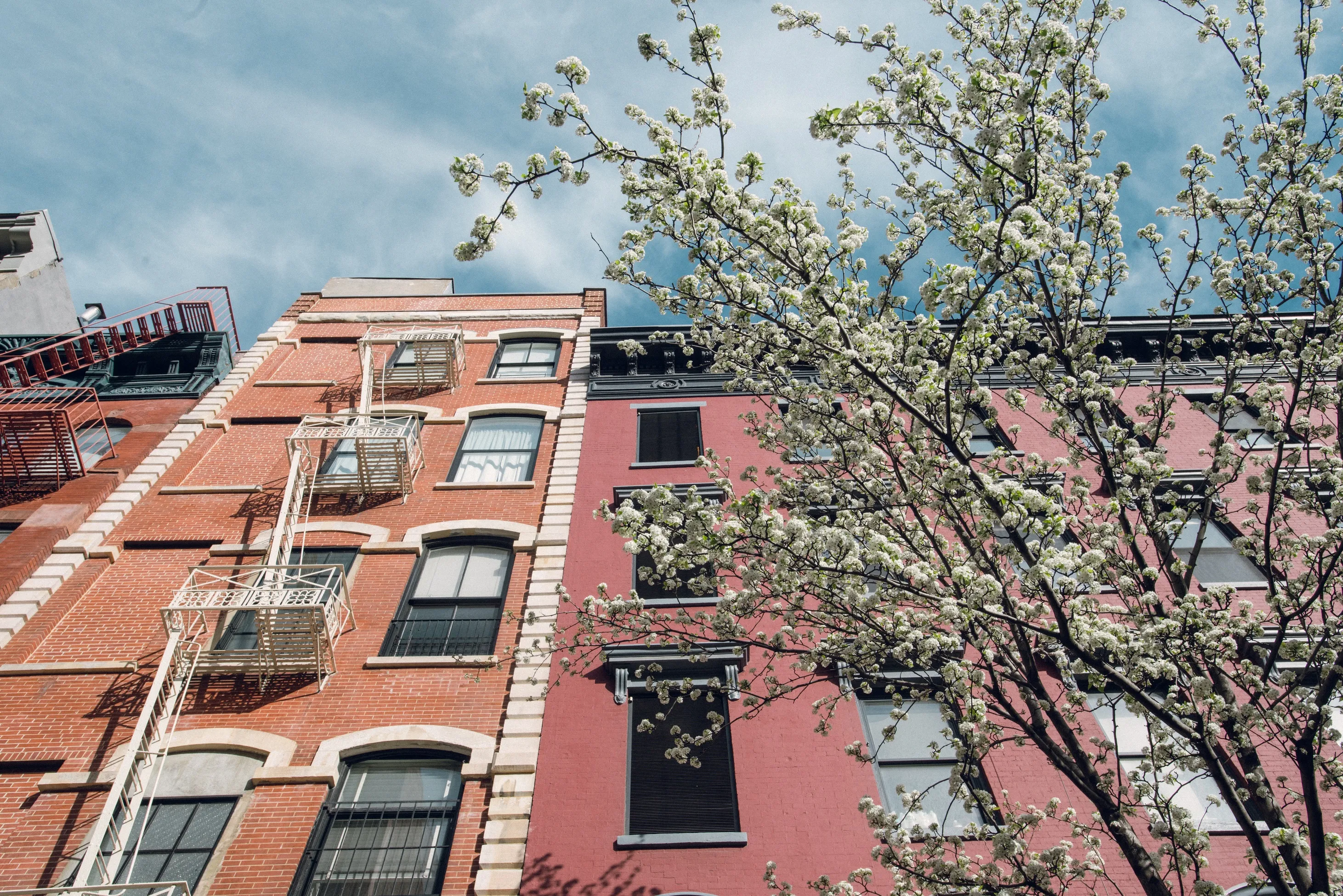 Send Your Council Member a Letter | Local Law 18 | Communities for ...