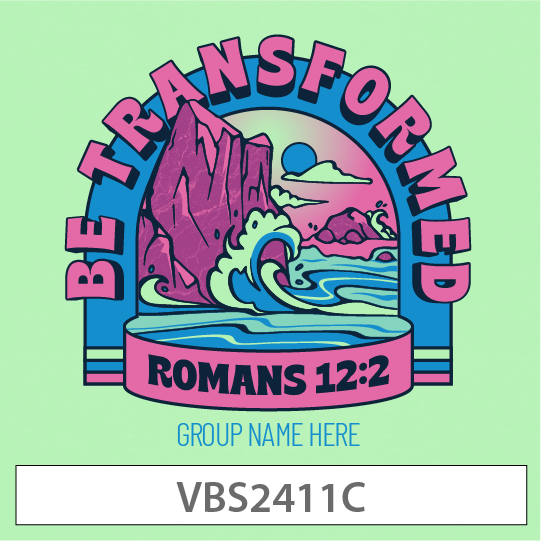 VBS 2411