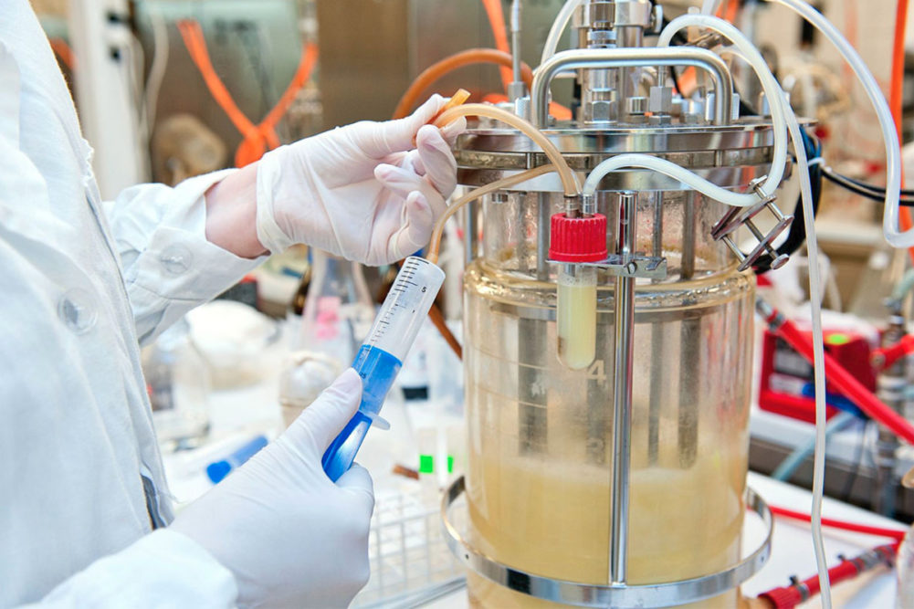 Noblegen's Acquisition By Solar Biotech Bolsters Hope For Partnership ...