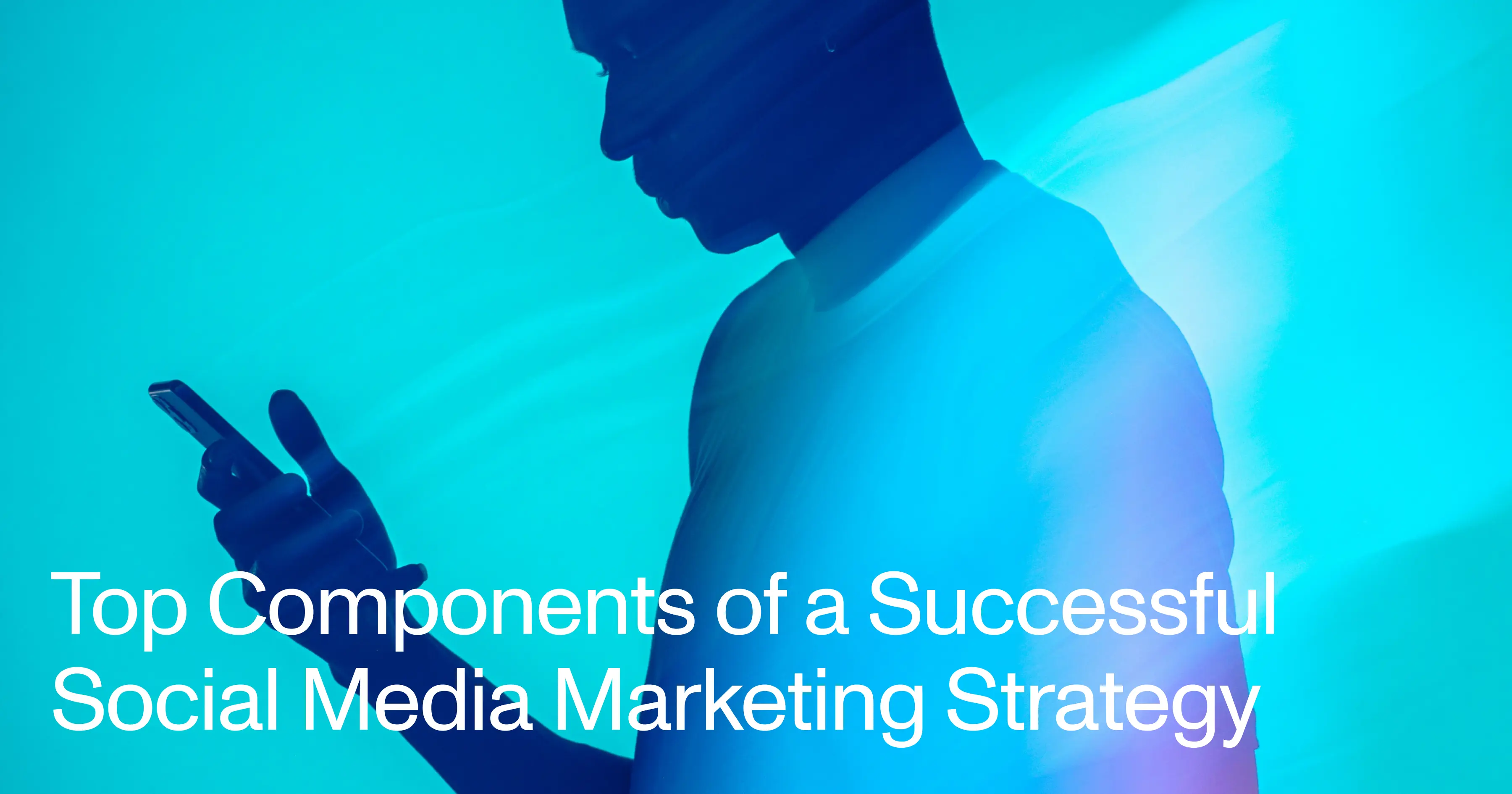 Top Components Of a Successful Social Media Marketing Strategy | THE ...
