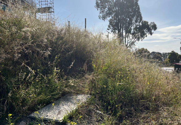 Report Abandoned Trolleys | What to Snap | Snap Send Solve