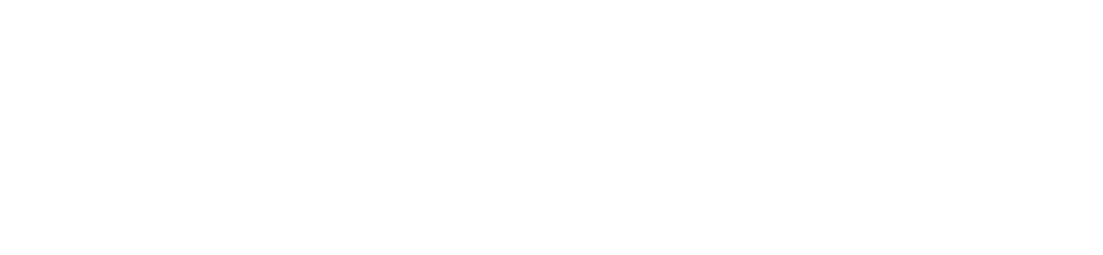DataDivers.io – Take a Deep Dive Into Your Data