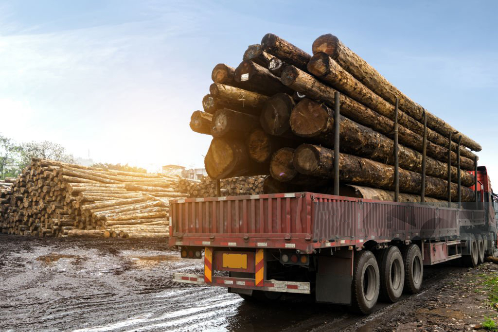 Quality MDF Refiner plate segment fillings with HANGTEC