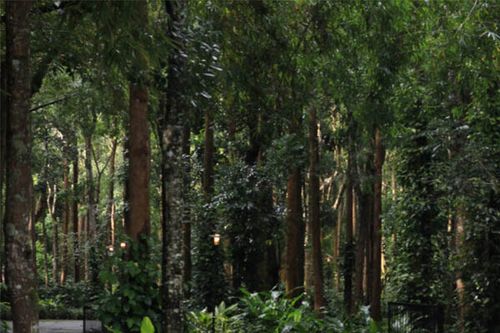 A Day at The Serai Chikmagalur - Paperclip & Co