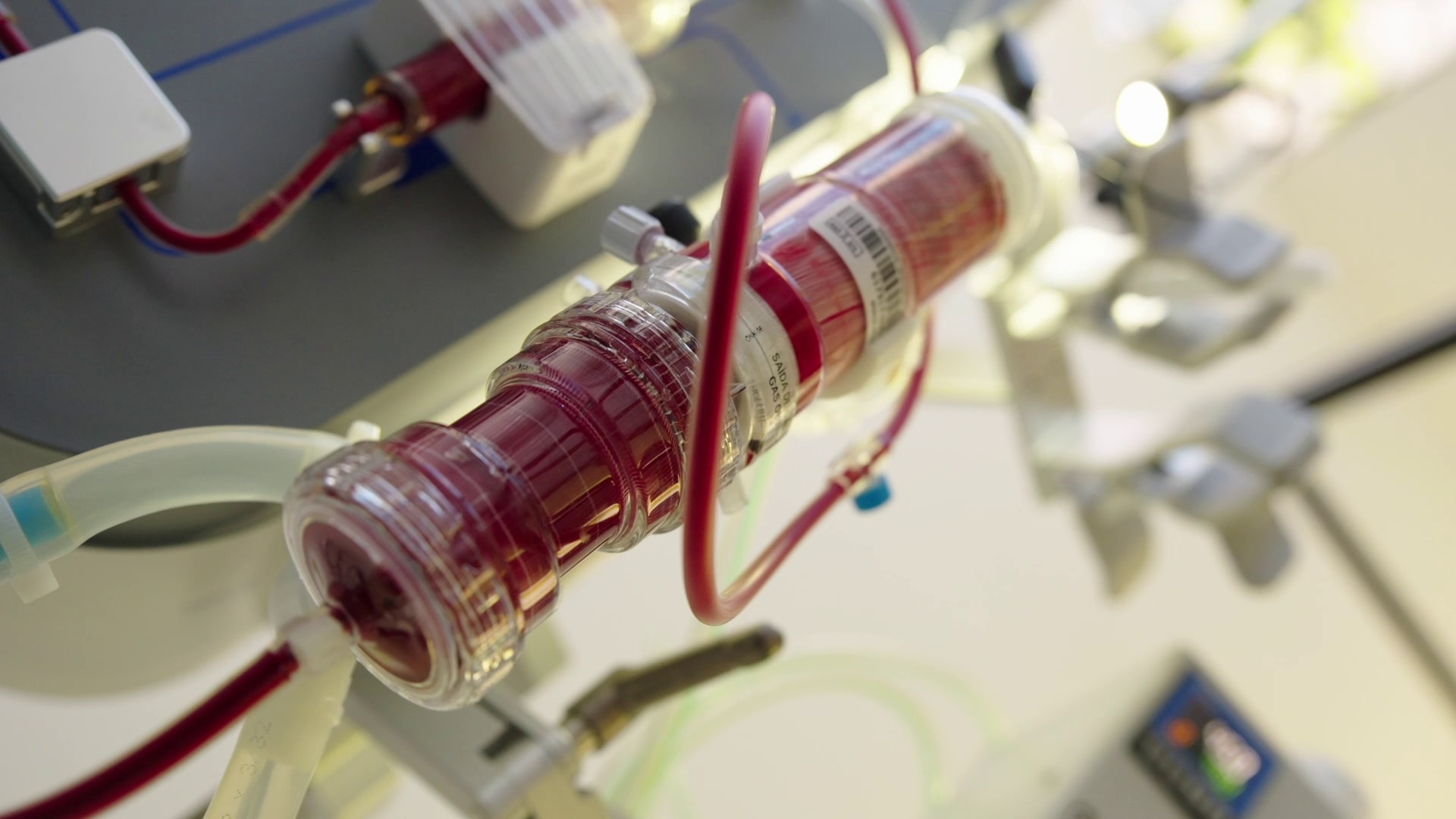 Erfahren Sie alles über die Blutanalyse | BIOCANNOVEA Medical Longevity