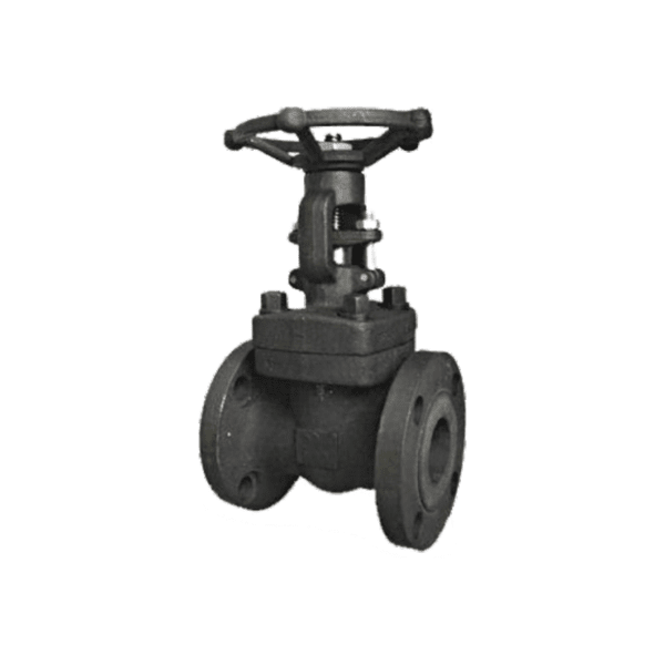 Forged Steel Gate Valve - Flanged End | Products | Stanvalves