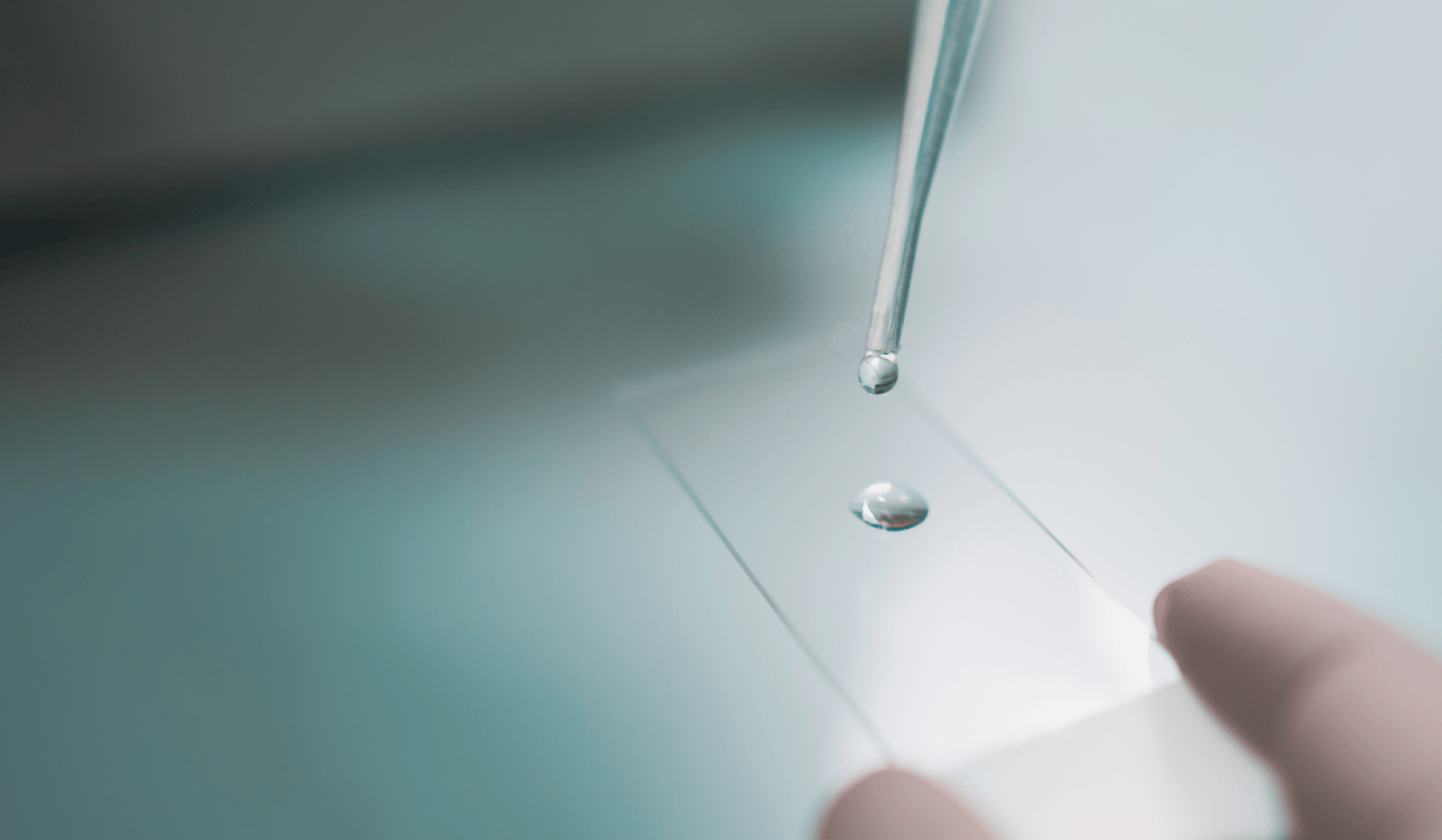 Impact Laboratories - The verifier of the world’s most trusted green ...