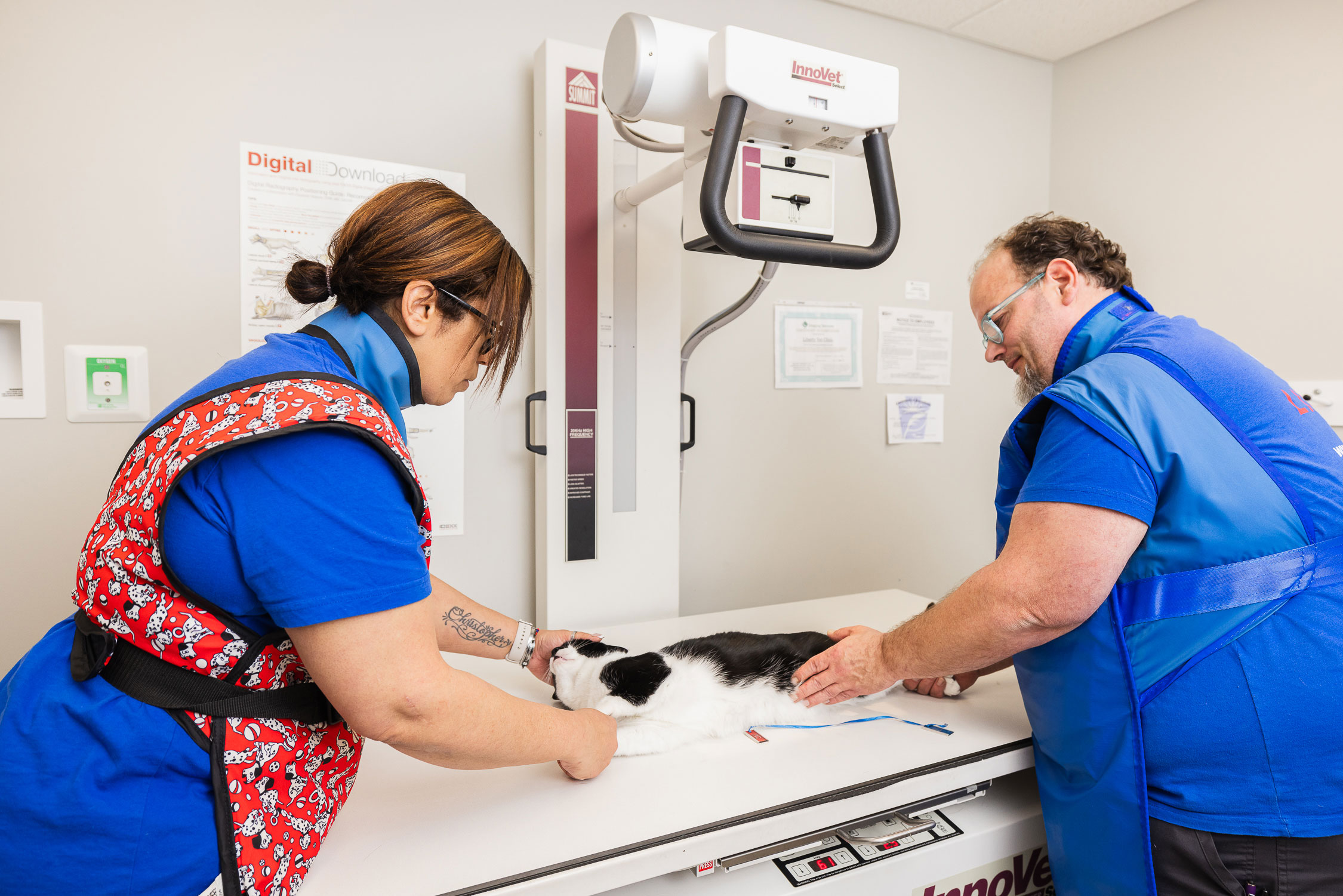 High-Quality Vet Hospital in Philadelphia, PA | Liberty Veterinary Clinic