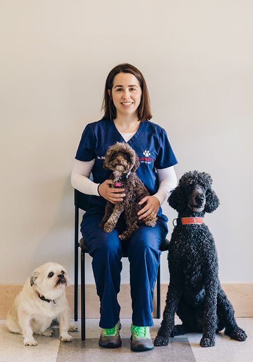 High-Quality Vet Hospital in Philadelphia, PA | Liberty Veterinary Clinic