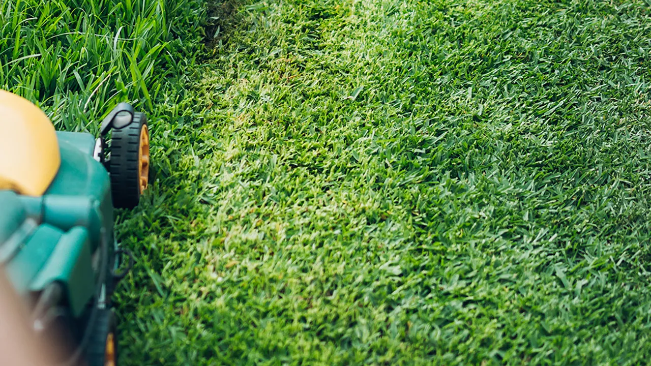 Wilcox Lawn Maintenance | Lawn Care, Landscaping, & Snow Removal in ...