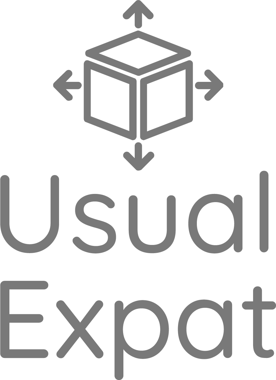 Shop Cyberpunk and Vaporware T-Shirts & Hoodies | Usual Expat Apparel