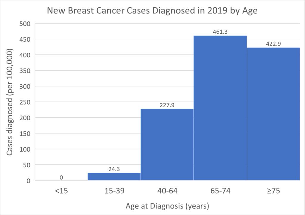 How to Treat Elderly Patients. Breast Cancer Guidelines