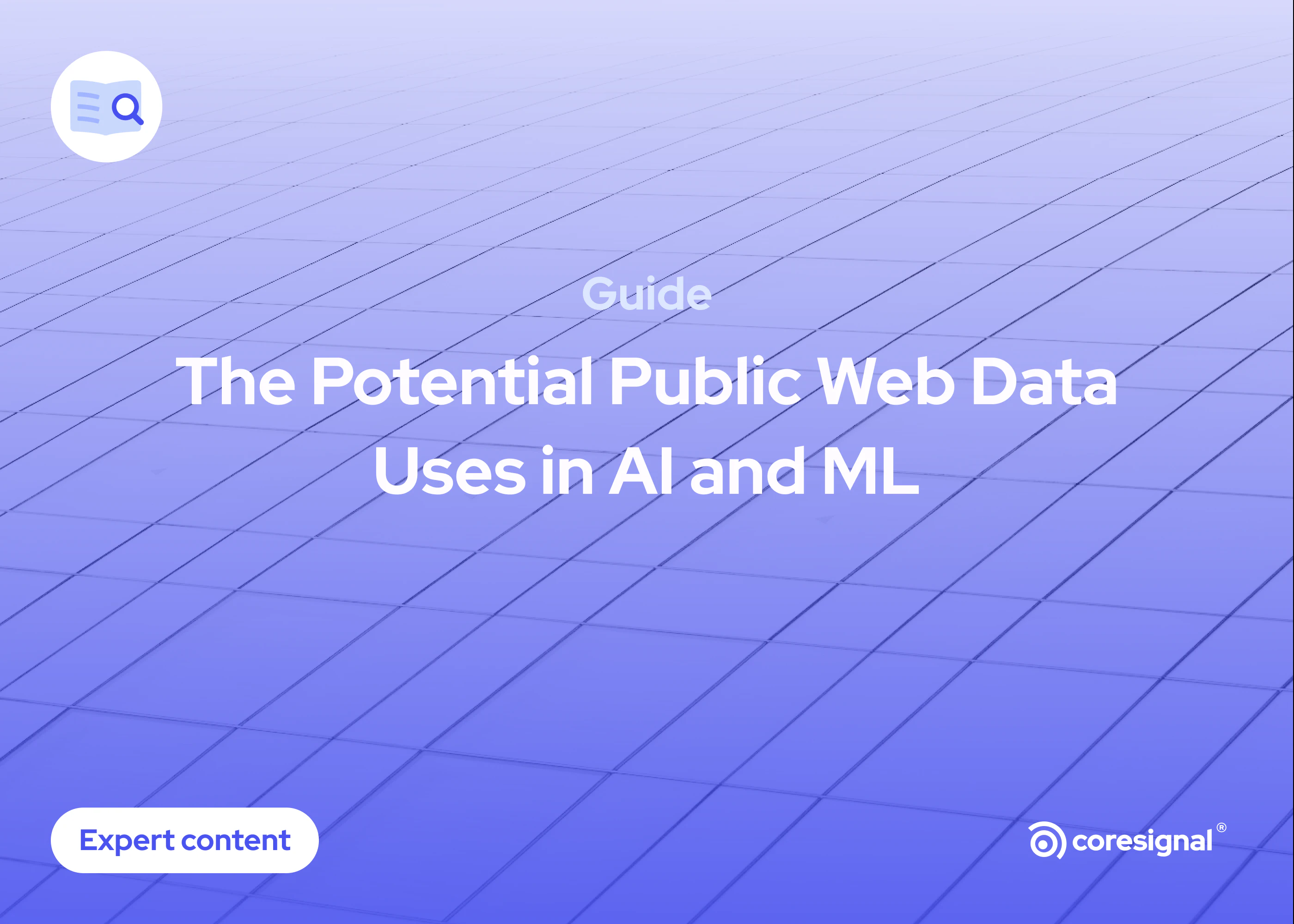 The Potential Public Web Data Uses in AI and ML
