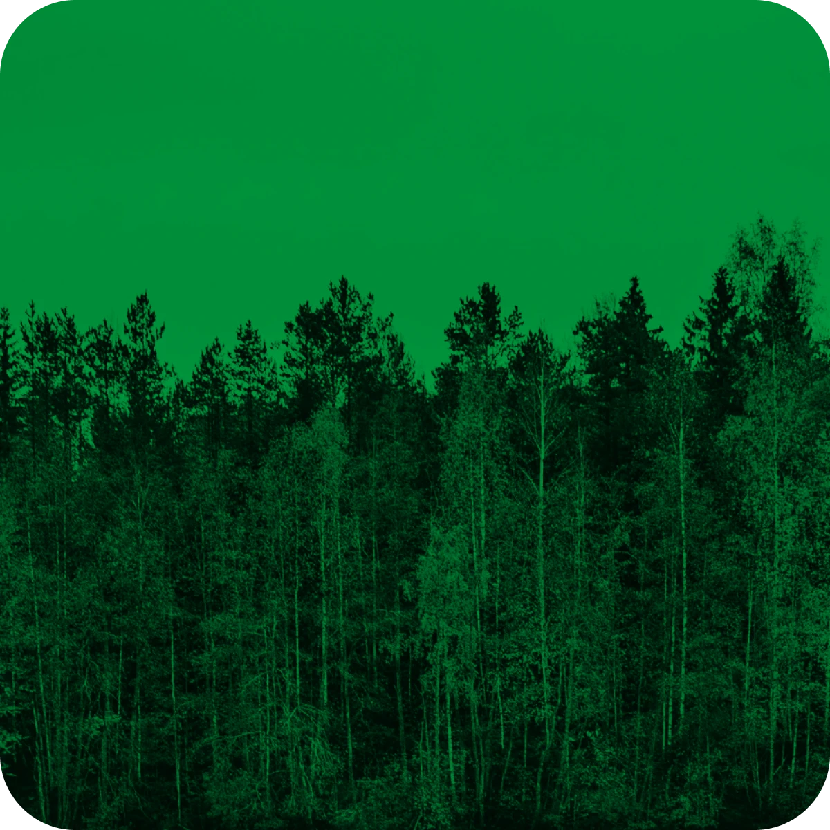 Batchewana First Nation-Honouring our past, planning our future.