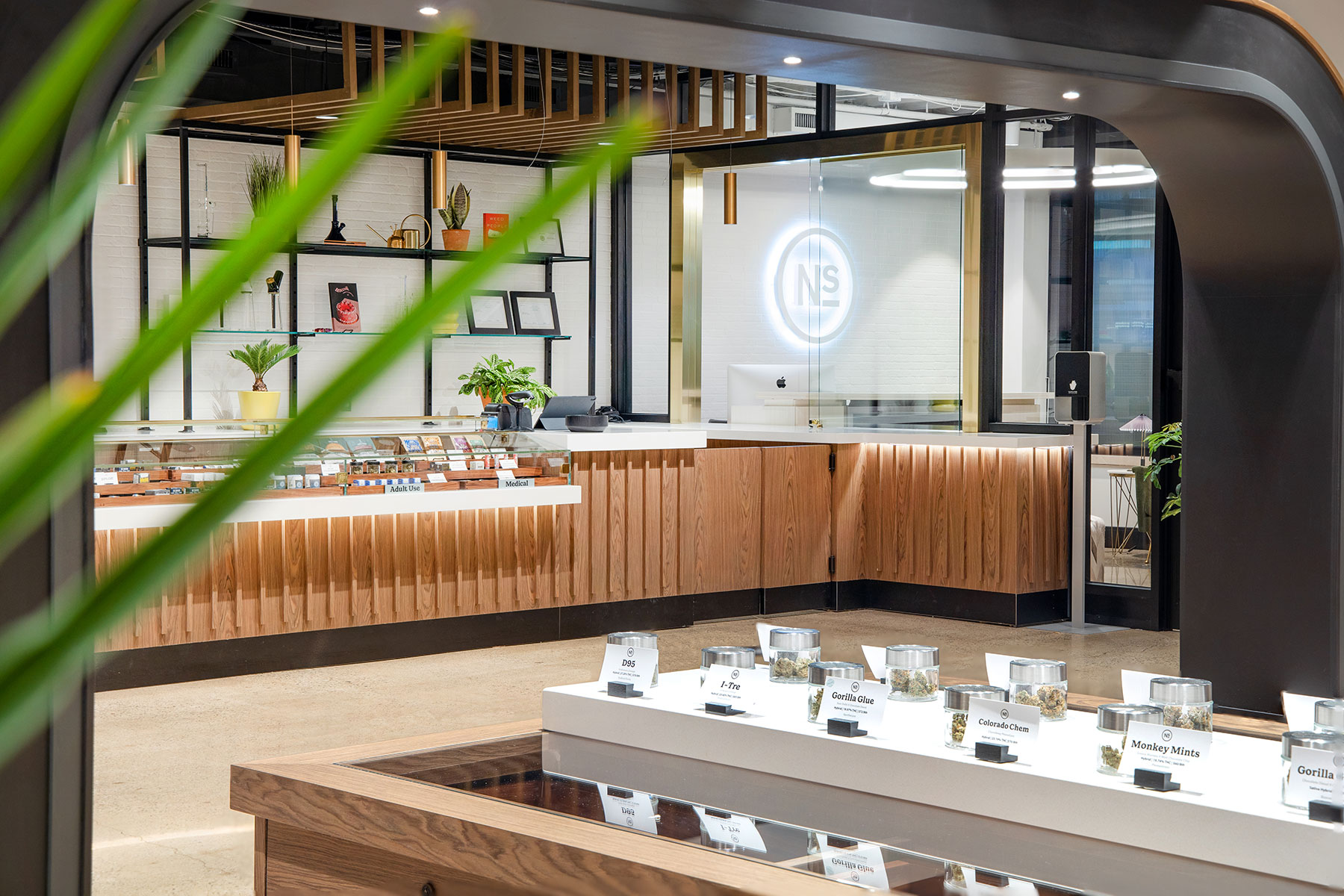 Recreational Cannabis Dispensaries in MI | New Standard