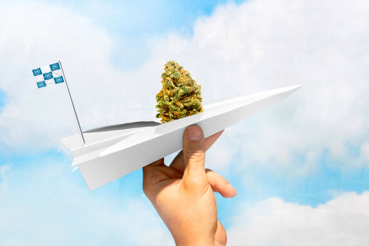 New Standard: Michigan's Premier Cannabis Dispensary