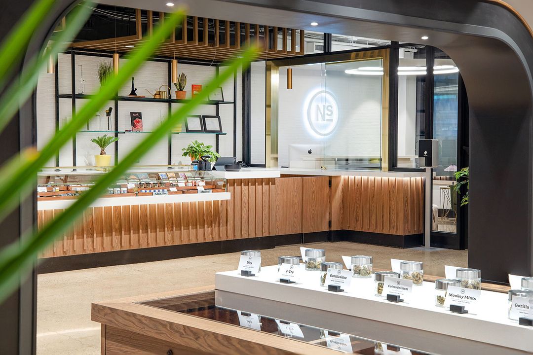 Recreational Cannabis Dispensaries in MI | New Standard