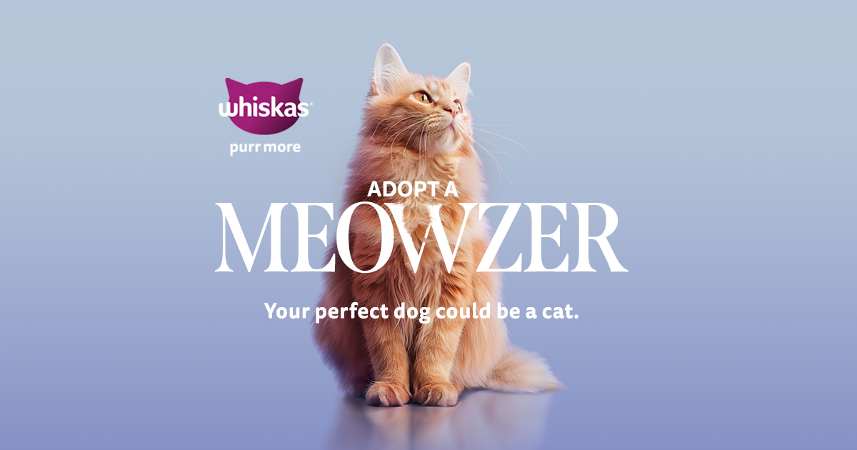 Meet your perfect dog, the Meowzer | WHISKAS
