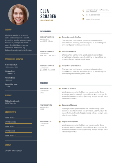 Cv voor Java Developer