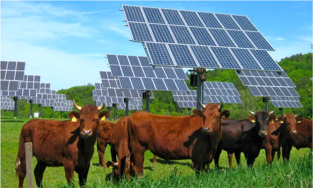 Dual Axis Tracker Solar Systems by KSI Solar