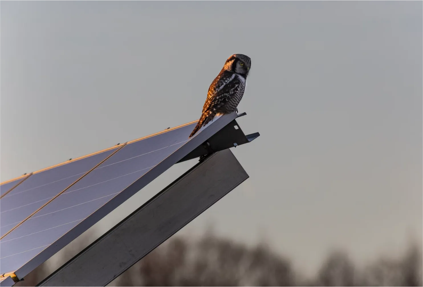 Multi Use Solar Systems Systems By KSI