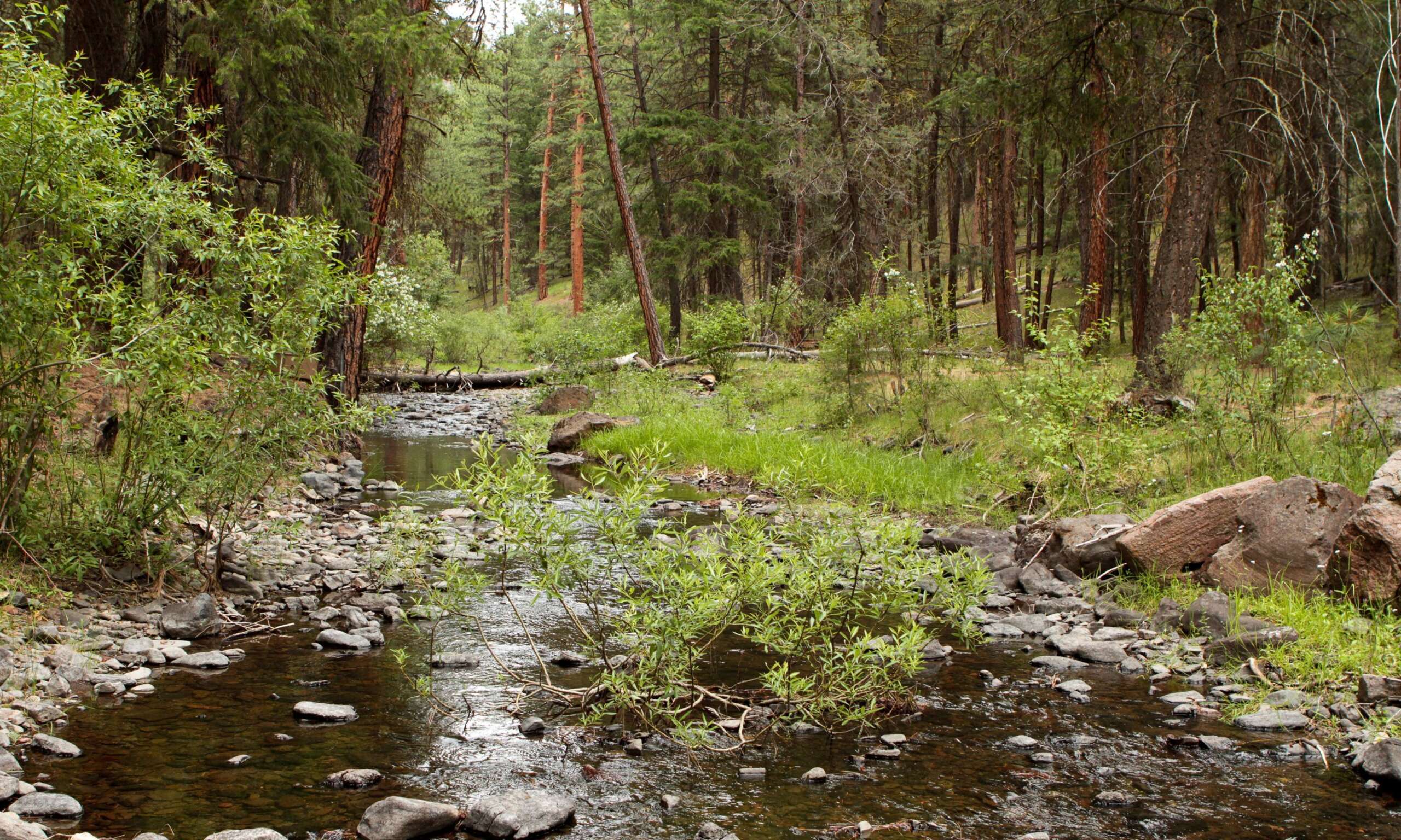 Streamflow Restoration in Central Oregon | Deschutes River Conservancy