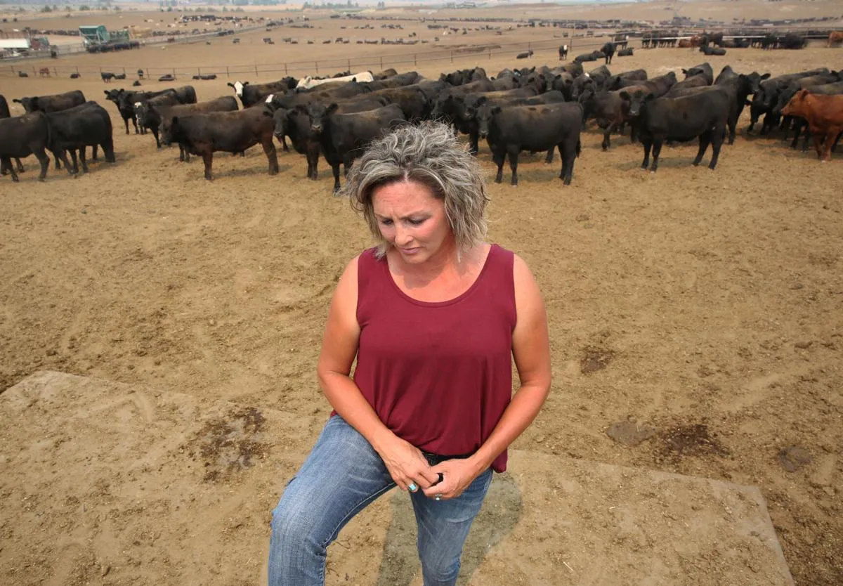 Drought and hay shortages push Central Oregon cattle ranchers to the brink