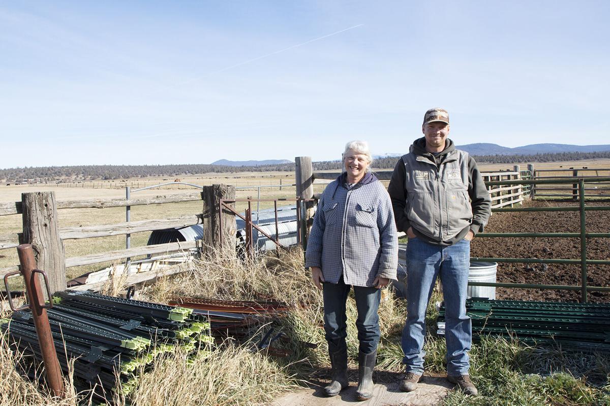 Lessons from disaster: Bootleg Fire reveals forest management insights