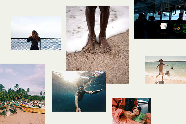 WSL Announces ‘We Are One Ocean' Campaign Calling for Protection of 30% ...