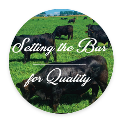 Our Retail Stockists