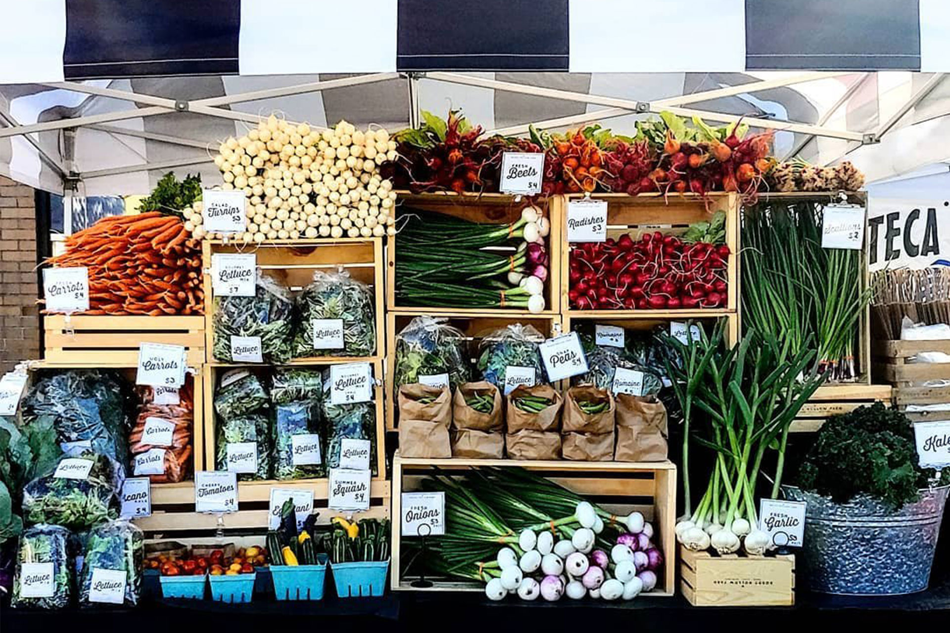 Your Guide to the Crops and Farmers of the Klamath Basin