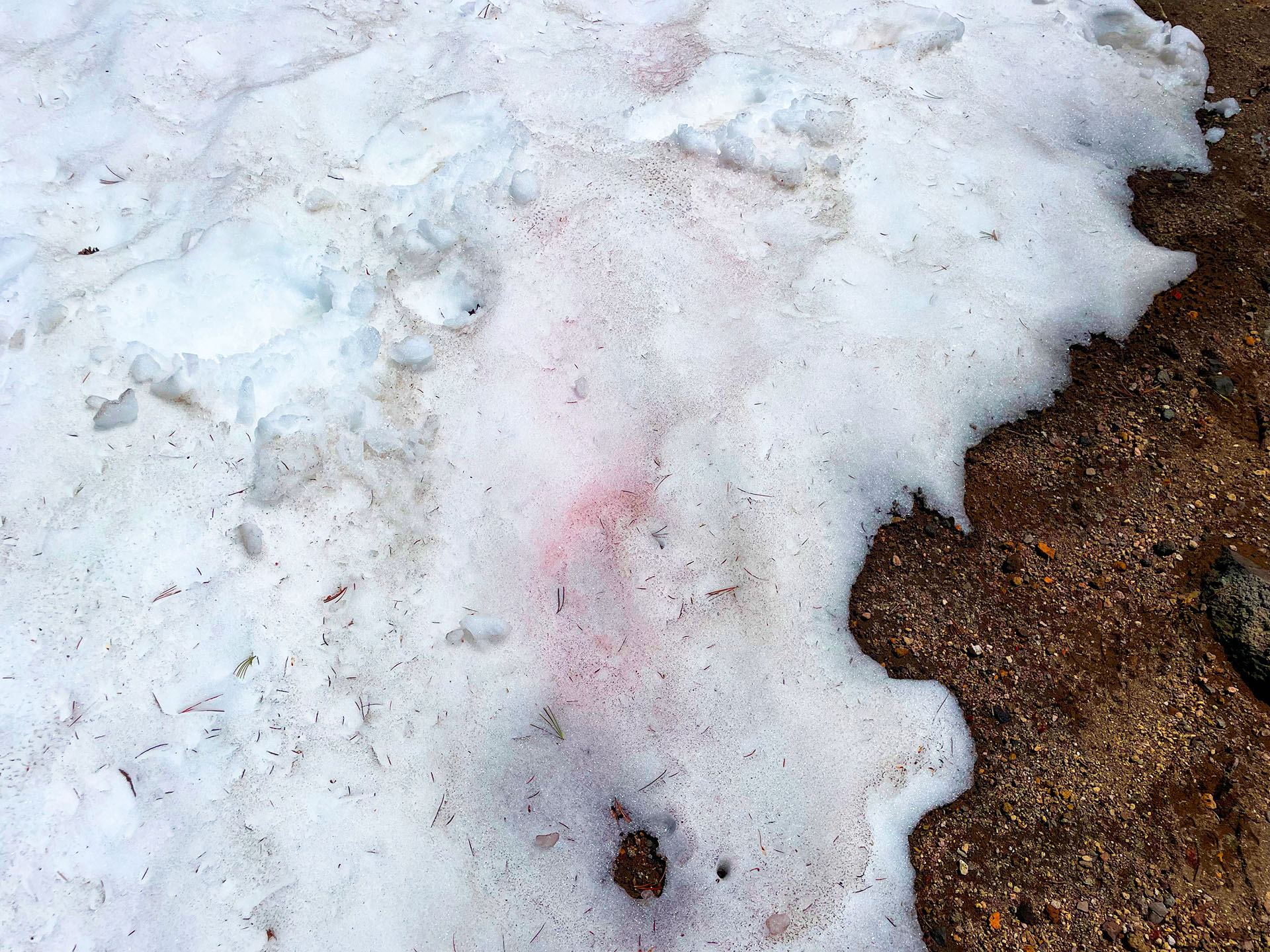 How to Experience Winter at Crater Lake National Park