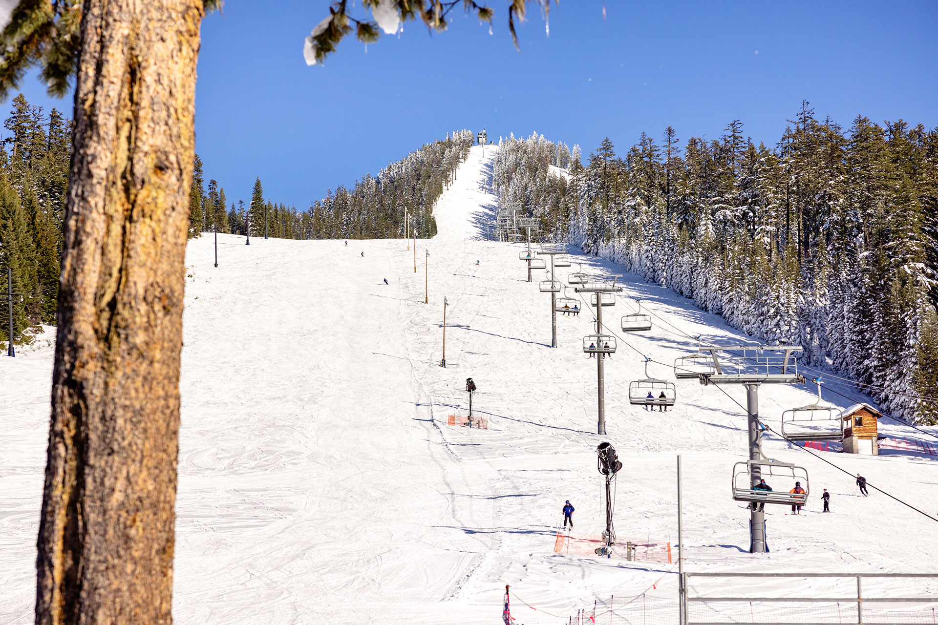 Your Guide to Skiing and Snowboarding at Willamette Pass Resort
