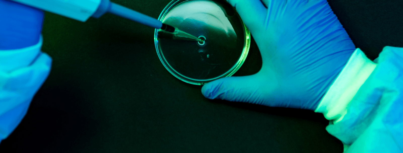 Impact Laboratories - The verifier of the world’s most trusted green ...