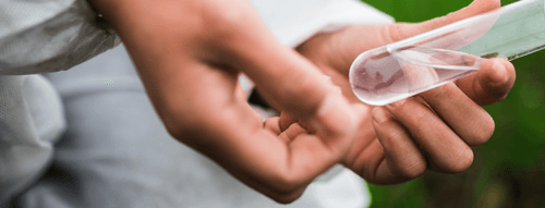 Impact Laboratories - The verifier of the world’s most trusted green ...