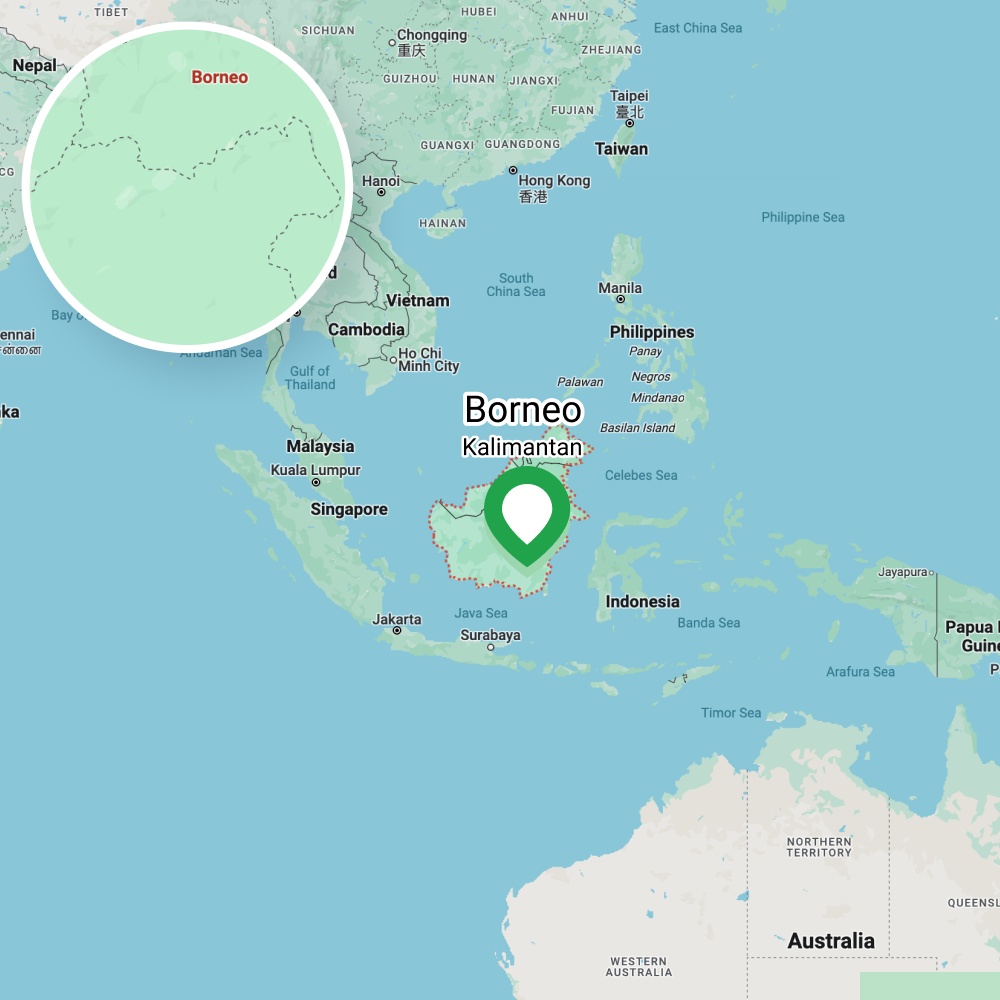 Rimba Raya Biodiversity Reserve | SkootEco Climate Project