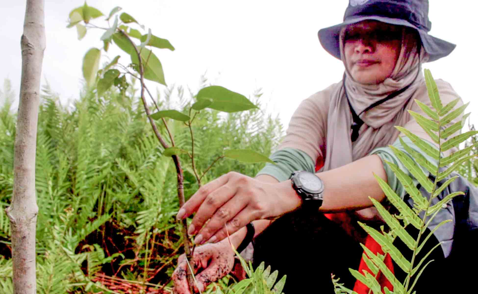 Rimba Raya Biodiversity Reserve | SkootEco Climate Project