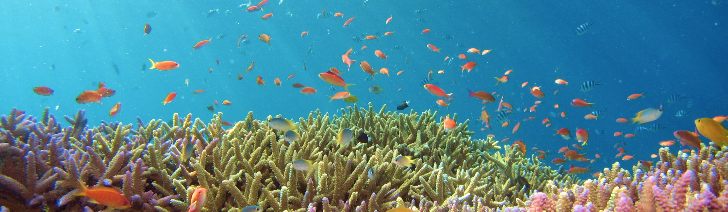 Celebrating National Marine Week | SkootEco Blog