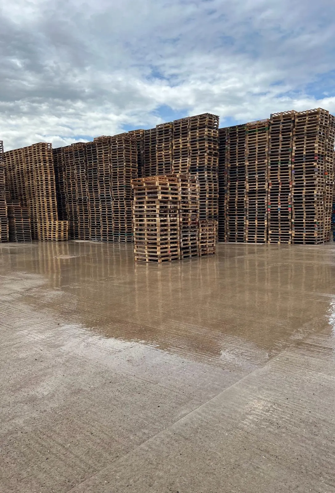 All Pallet Group - Home