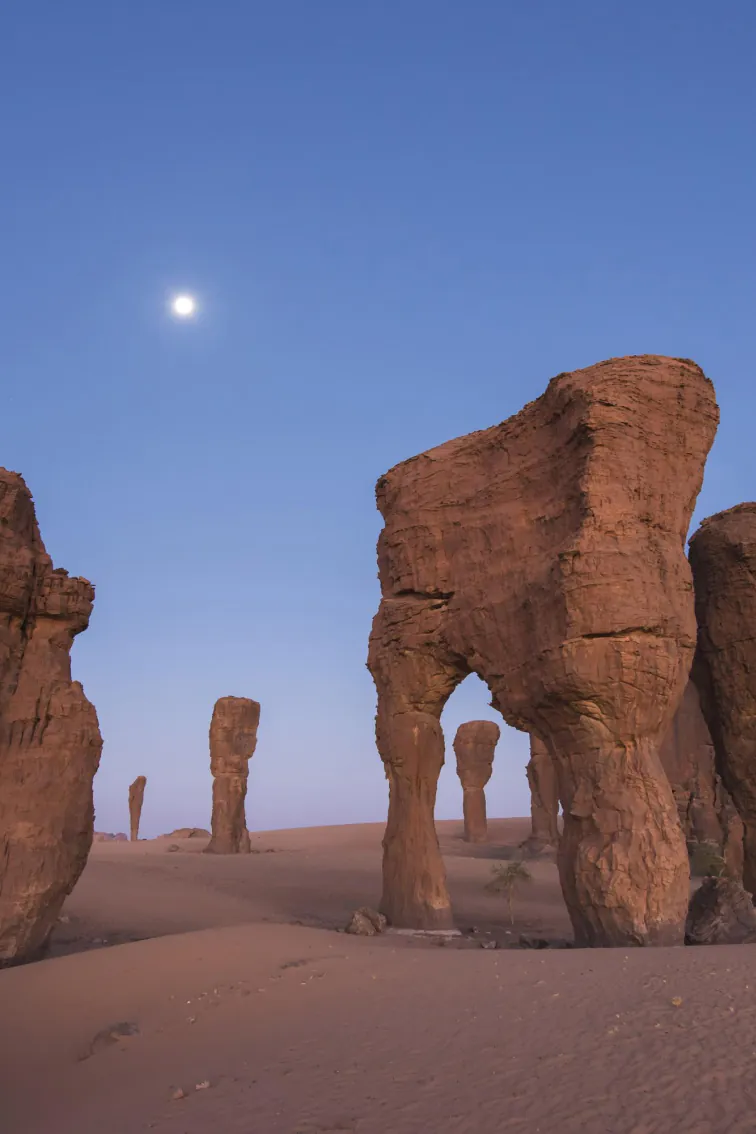 Connect, wherever you go | Kolet