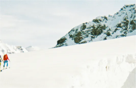 5Point Film Festival