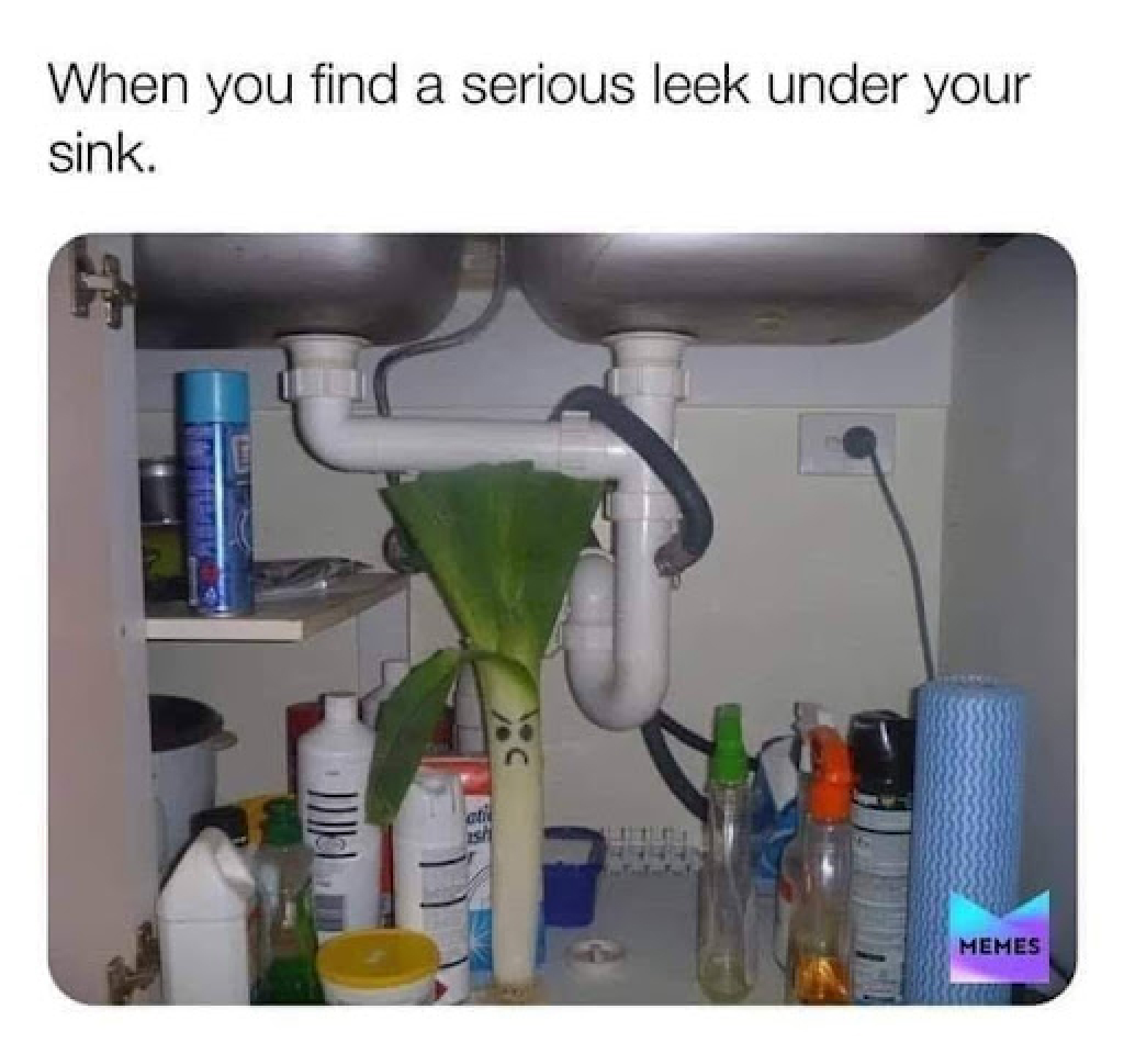 Funny Construction Memes: Memes for Home Inspectors 1